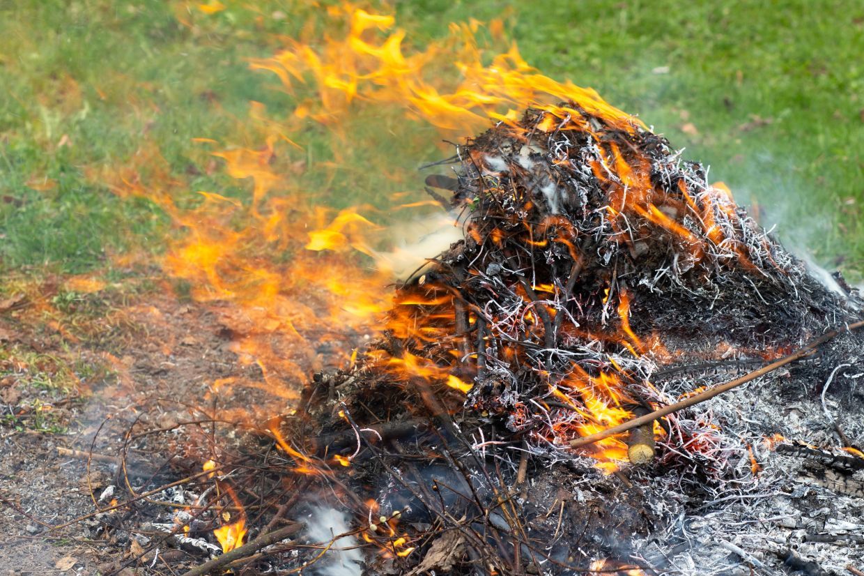 Kelantan records 232 open burning cases over eight days | The Star