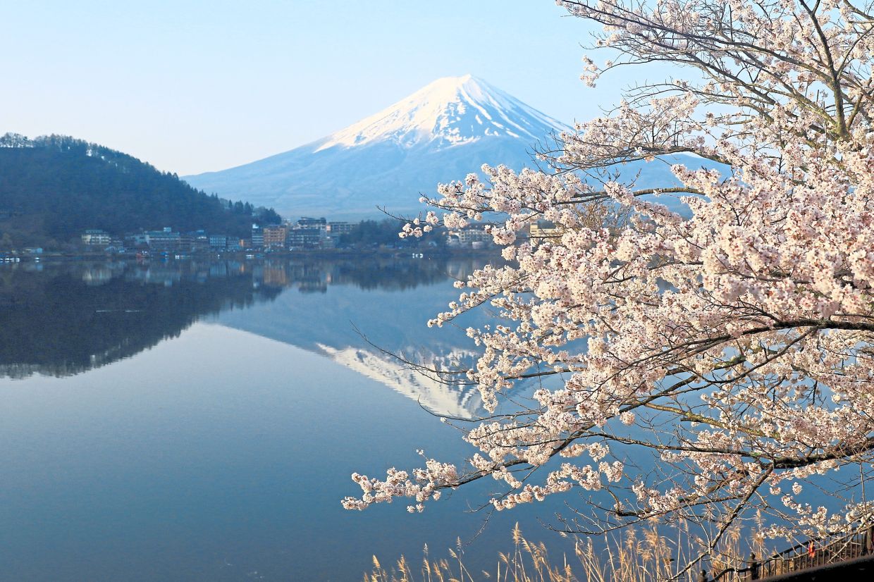 Netting to block Mt Fuji view from pesky tourists | The Star