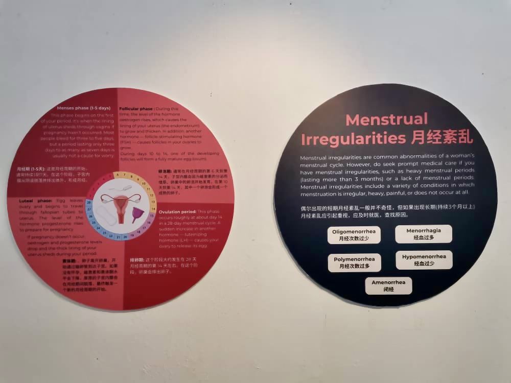 Menstrual Matters exhibition to end period shame | The Star