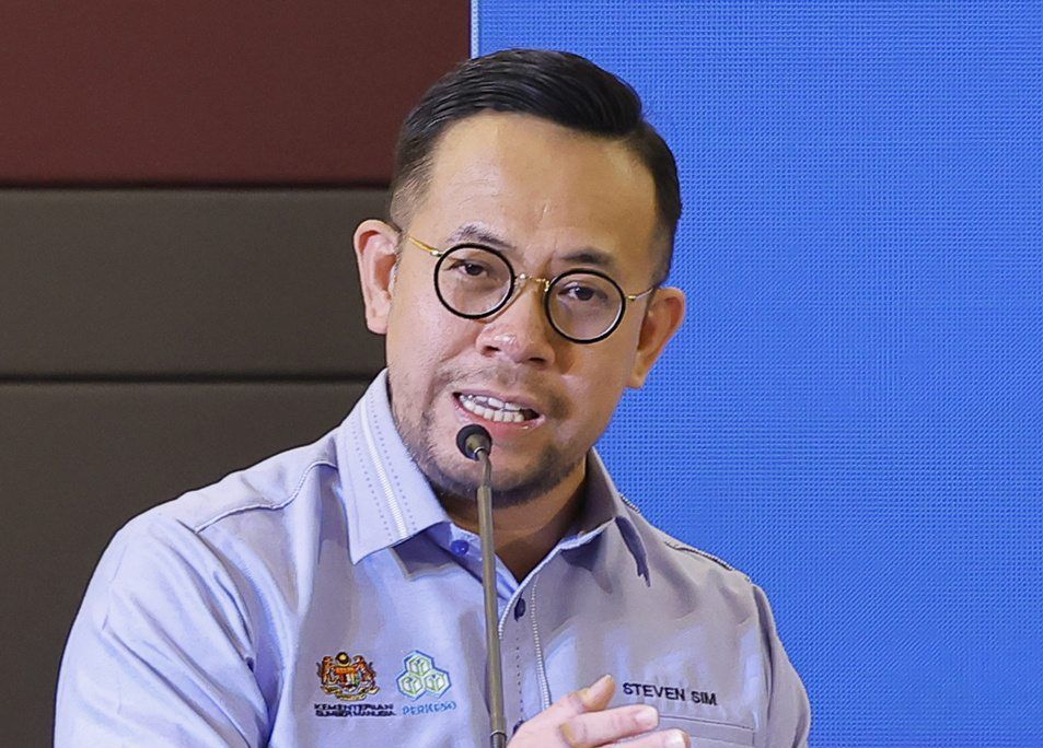 Multi-tier levy plan for migrants | The Star