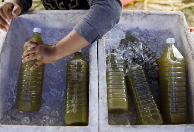 PTA turns hot weather into sweet success | The Star