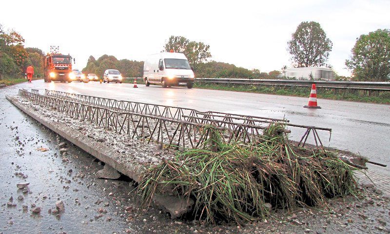 Road safety: Reacting correctly to objects on the highway | The Star