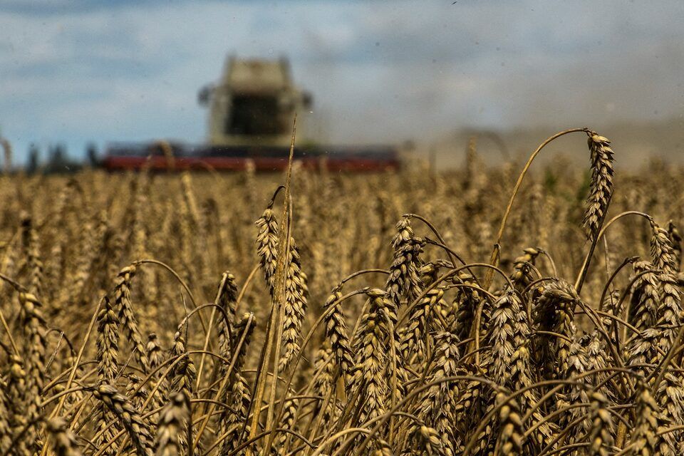 Russian wheat shortfall possible boon to US exporters of corn | The Star