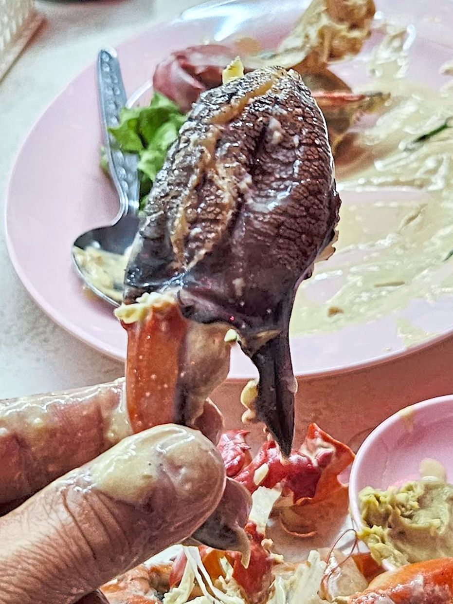 Kota Kinabalu offers seafood galore | The Star