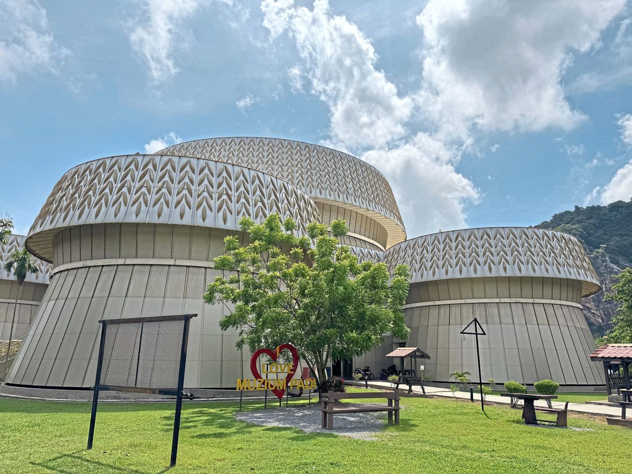 Museum dedicated to padi | The Star