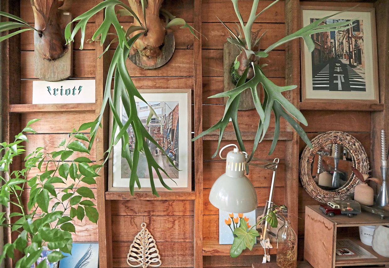 Rundown Malaysian PJ house is now a cosy home with kampung feel, lush ...