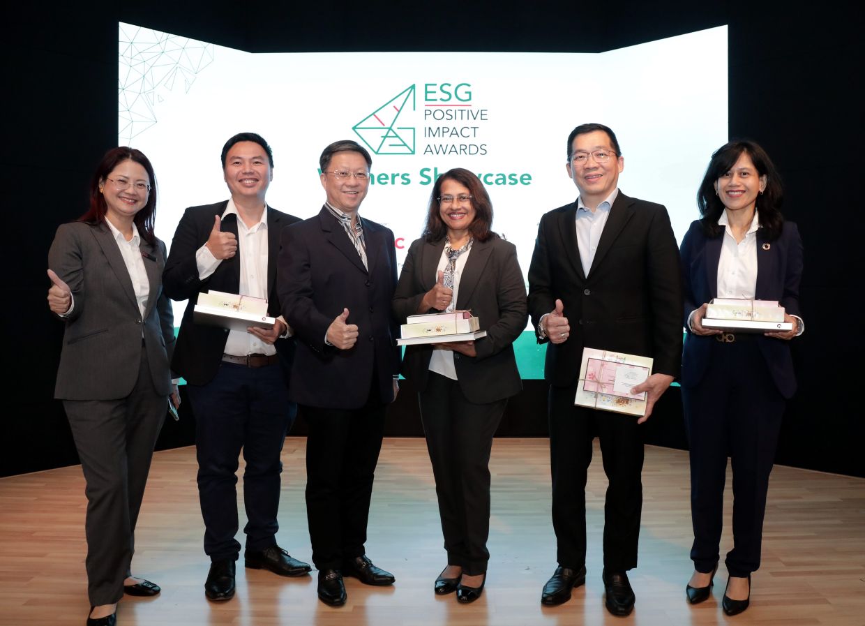 Fostering a robust financial ecosystem through sustainable financing ...