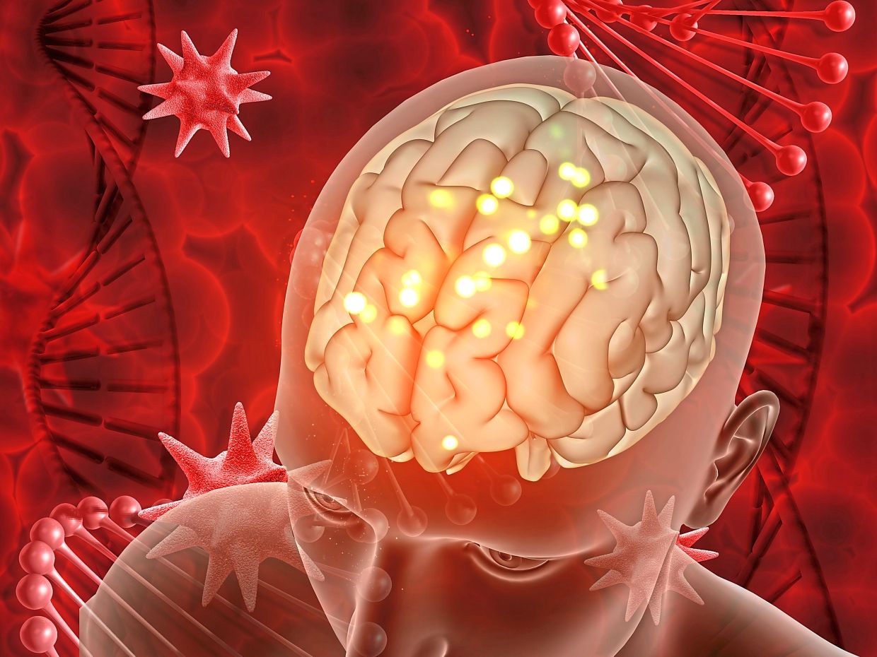 Brain worms on our minds | The Star