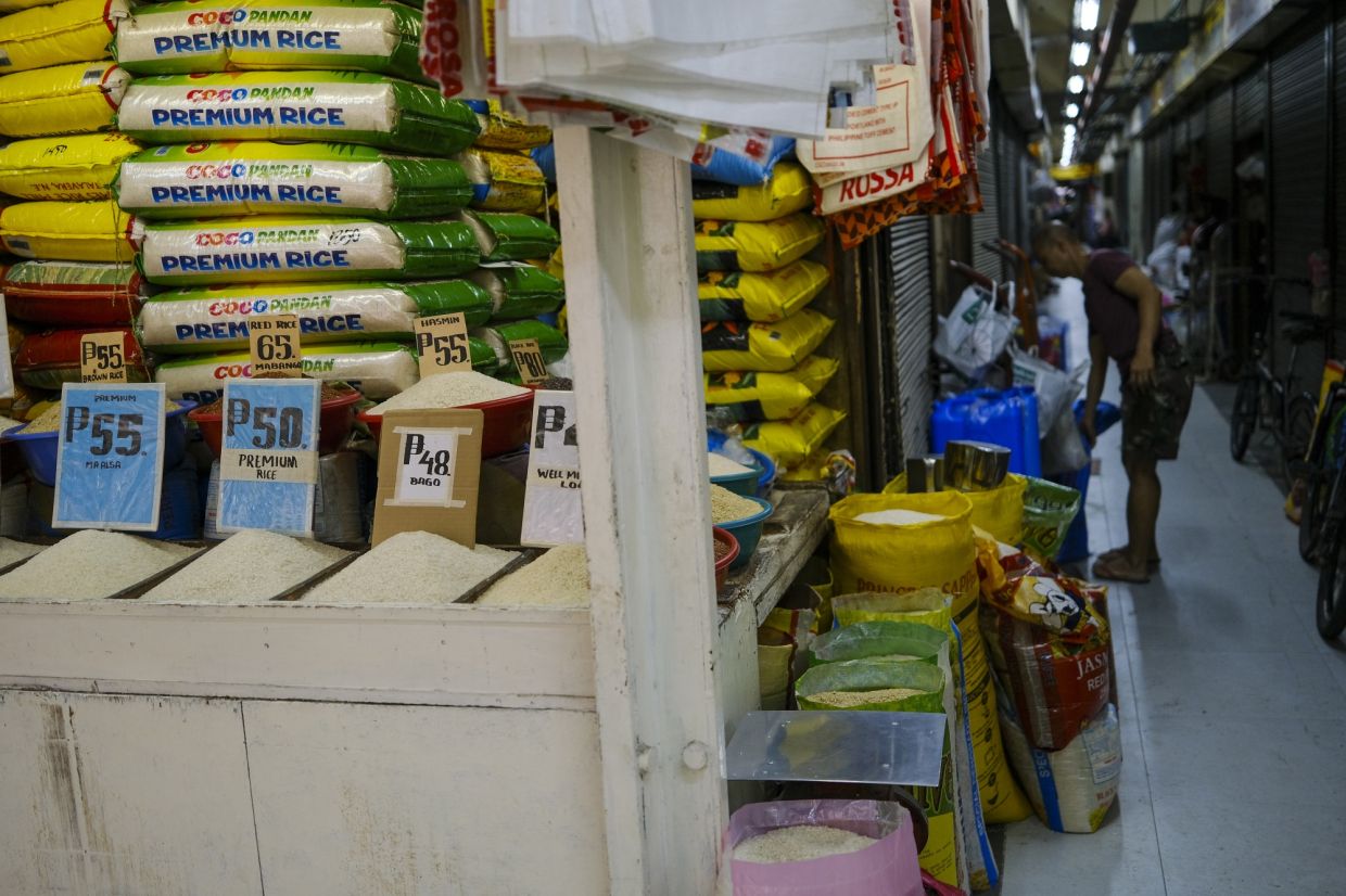 Panel approves tariff cut for rice and commodities | The Star
