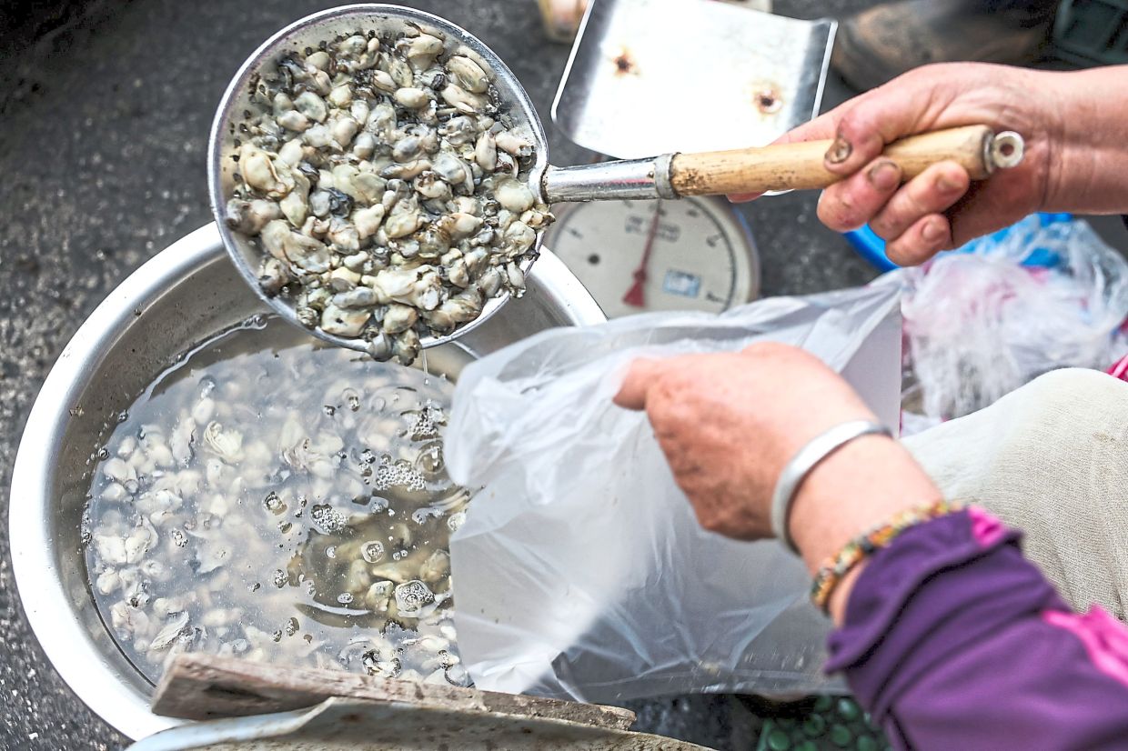Oyster farmers plod on amid war games | The Star