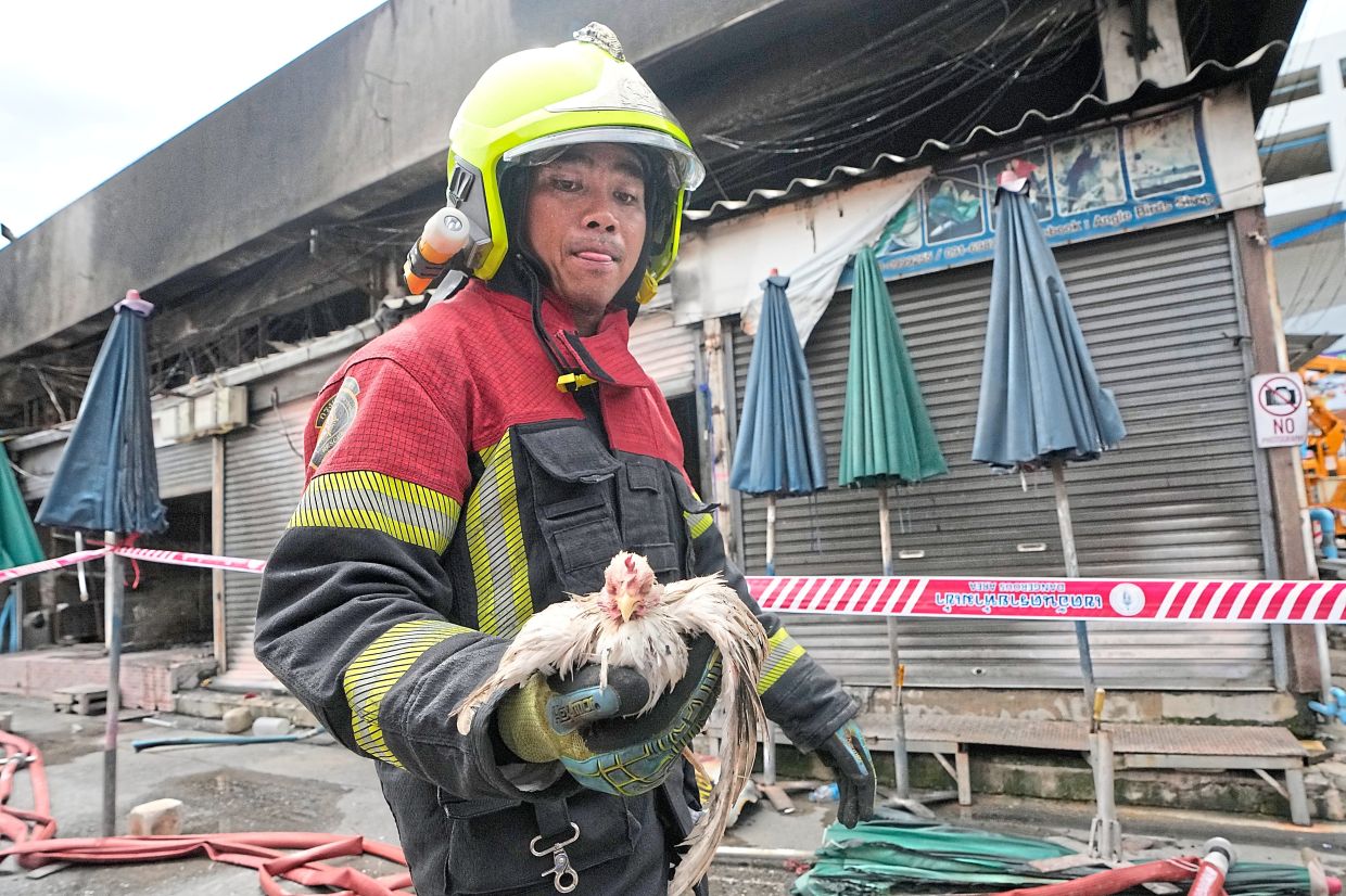 Deadly fire hits pet market | The Star