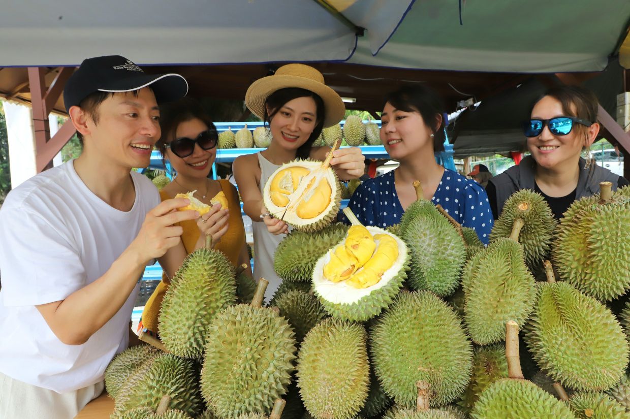 A pricekly feast | The Star