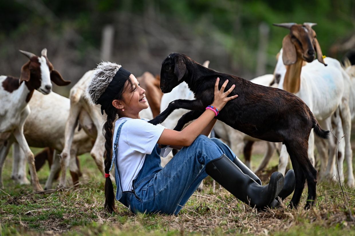 Meet Rania, the 11-year-old 'goat whisperer' | The Star