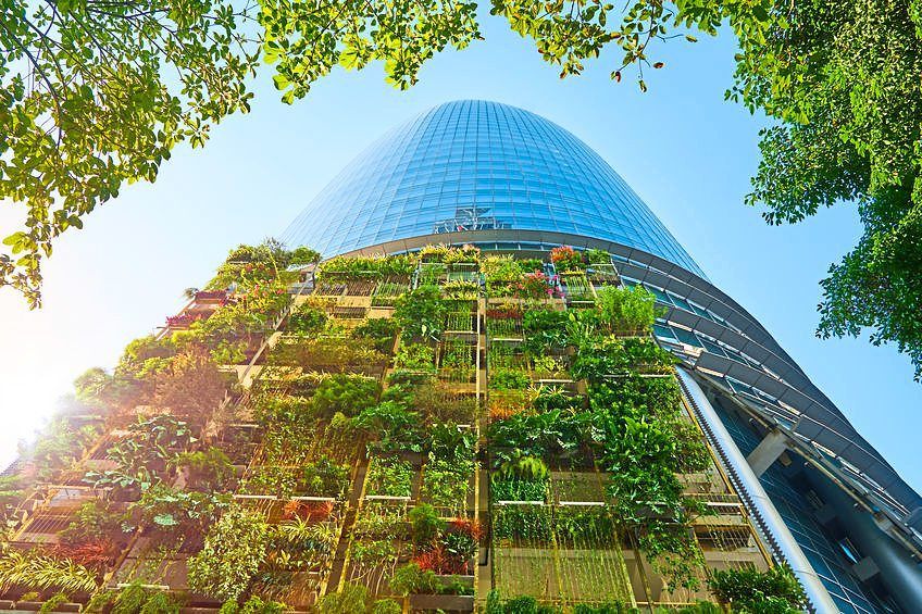 Grooming a greener generation | The Star