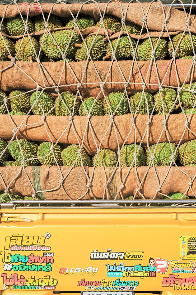 For some,durian is not $melly at all | The Star