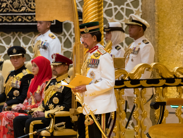 Brunei Sultan announces plans to set up digital payment hub | The Star