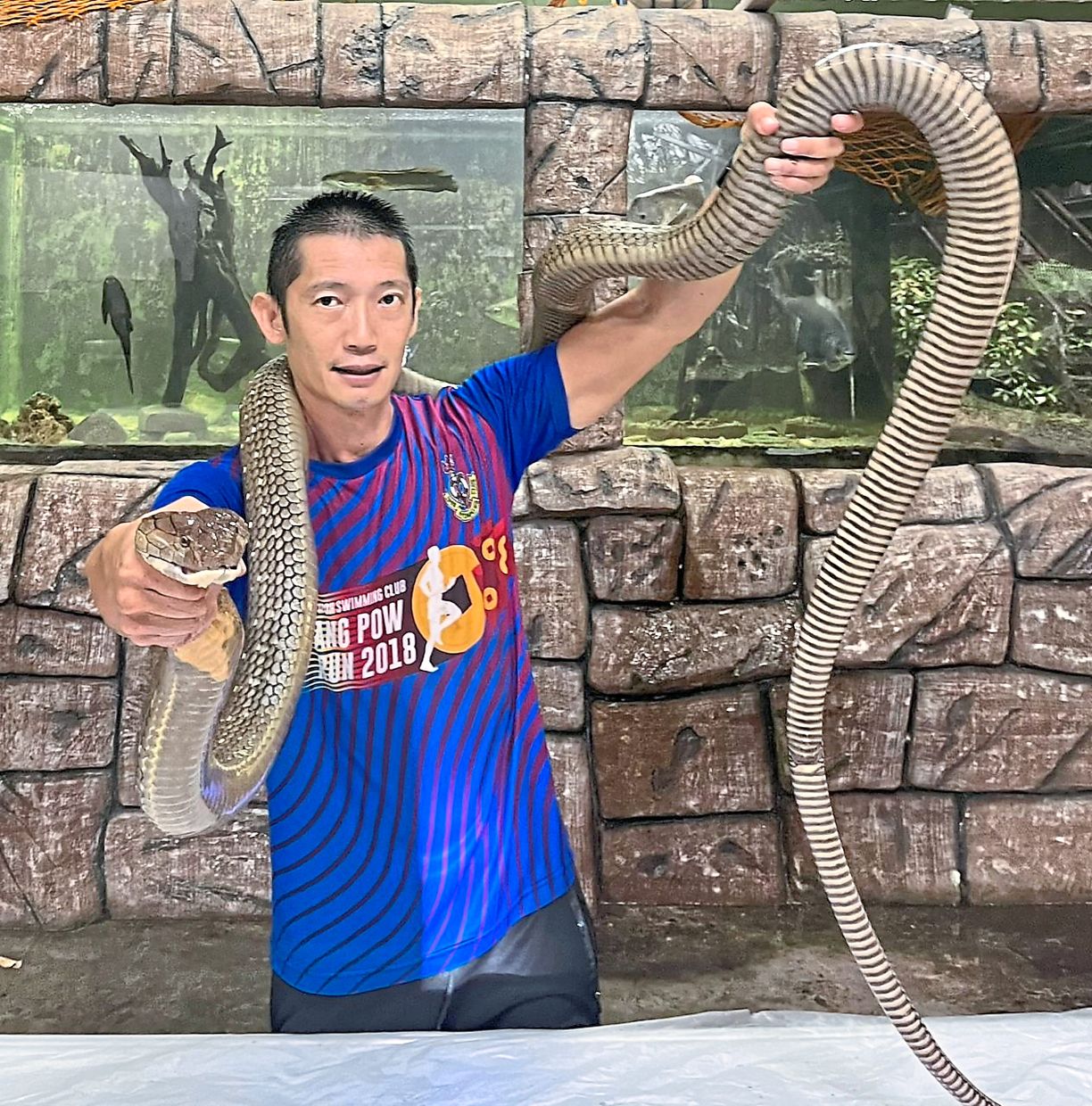 What to do when you see a snake: Tips from a seasoned snake handler ...