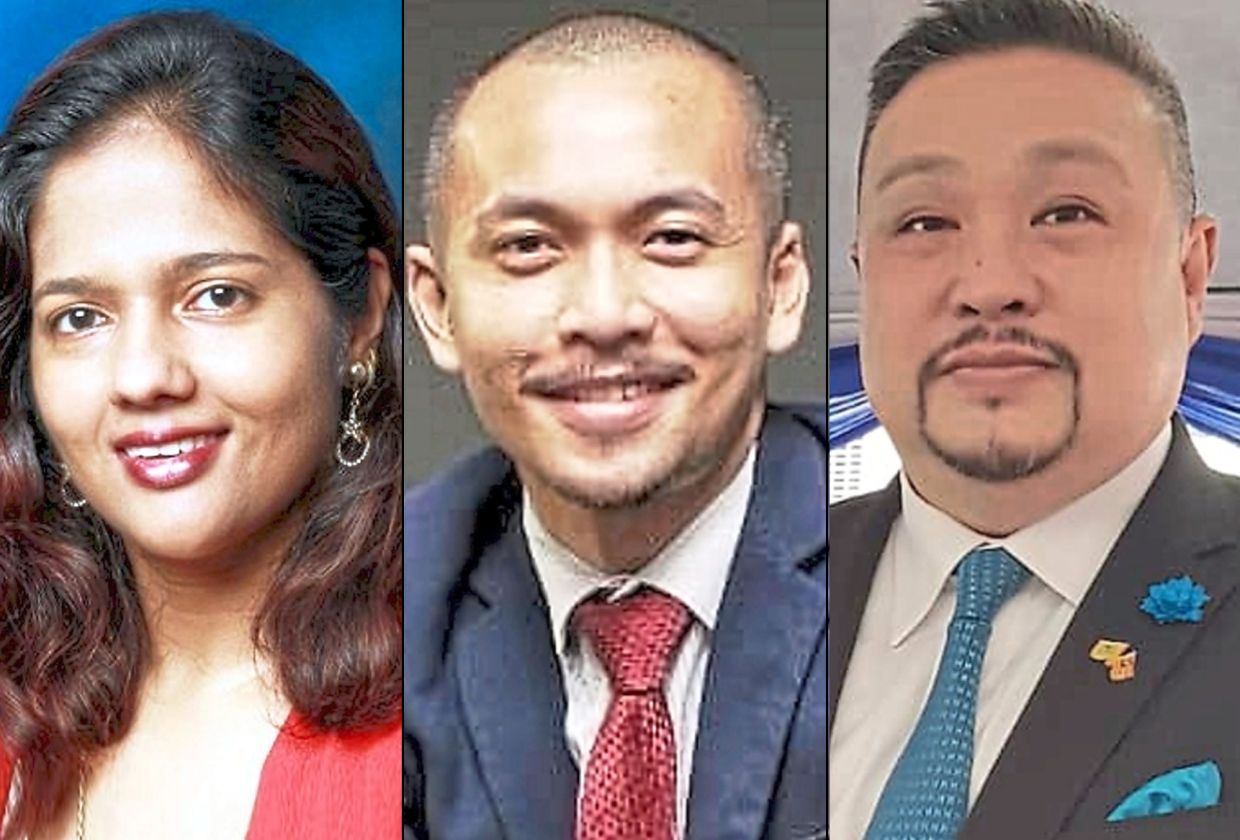 Cyberbullying on the rise, say experts | The Star