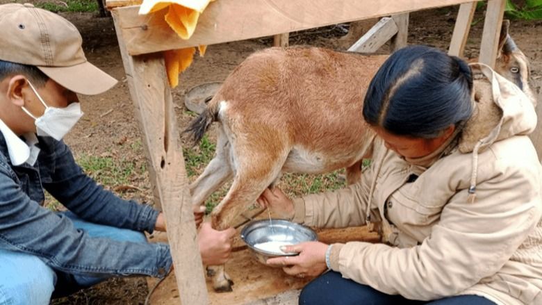 Laos to enhance wildlife health surveillance and aims to reduce disease ...
