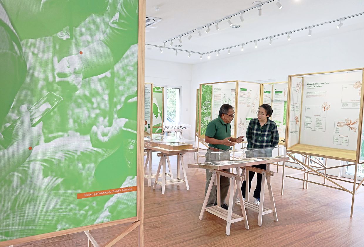 Discover the wonders of nature at KL's Forest Learning Centre | The Star