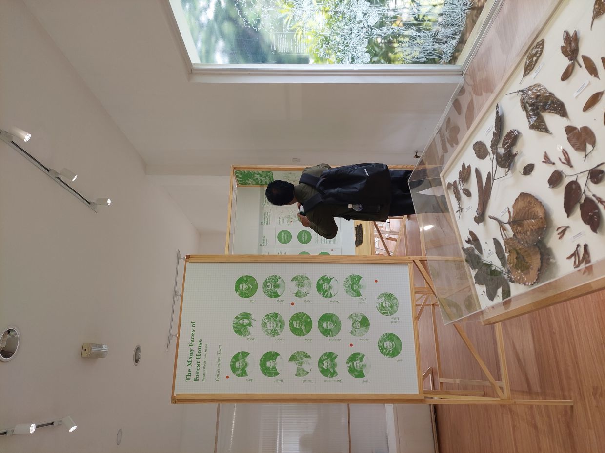 Discover the wonders of nature at KL's Forest Learning Centre | The Star