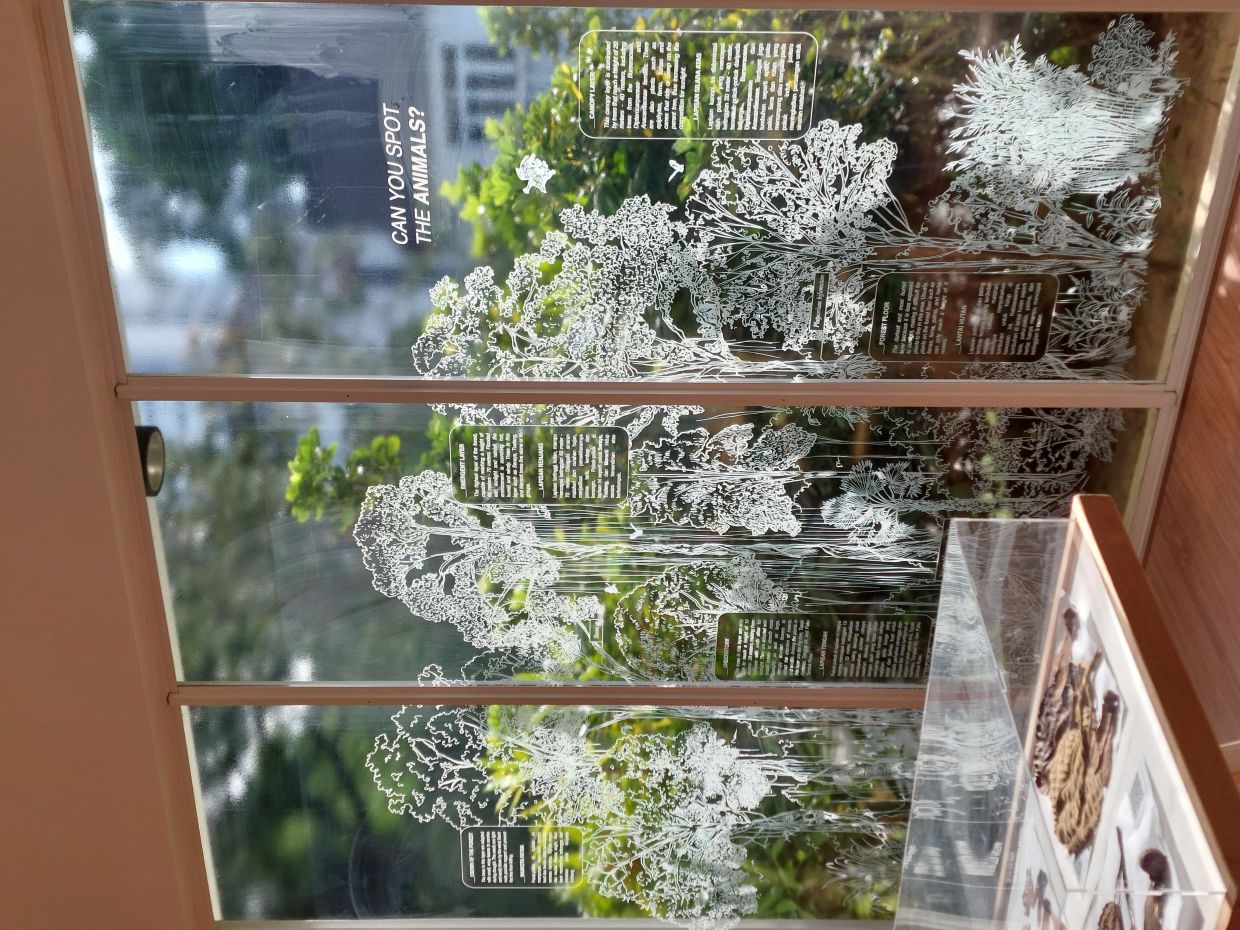 Discover the wonders of nature at KL's Forest Learning Centre | The Star