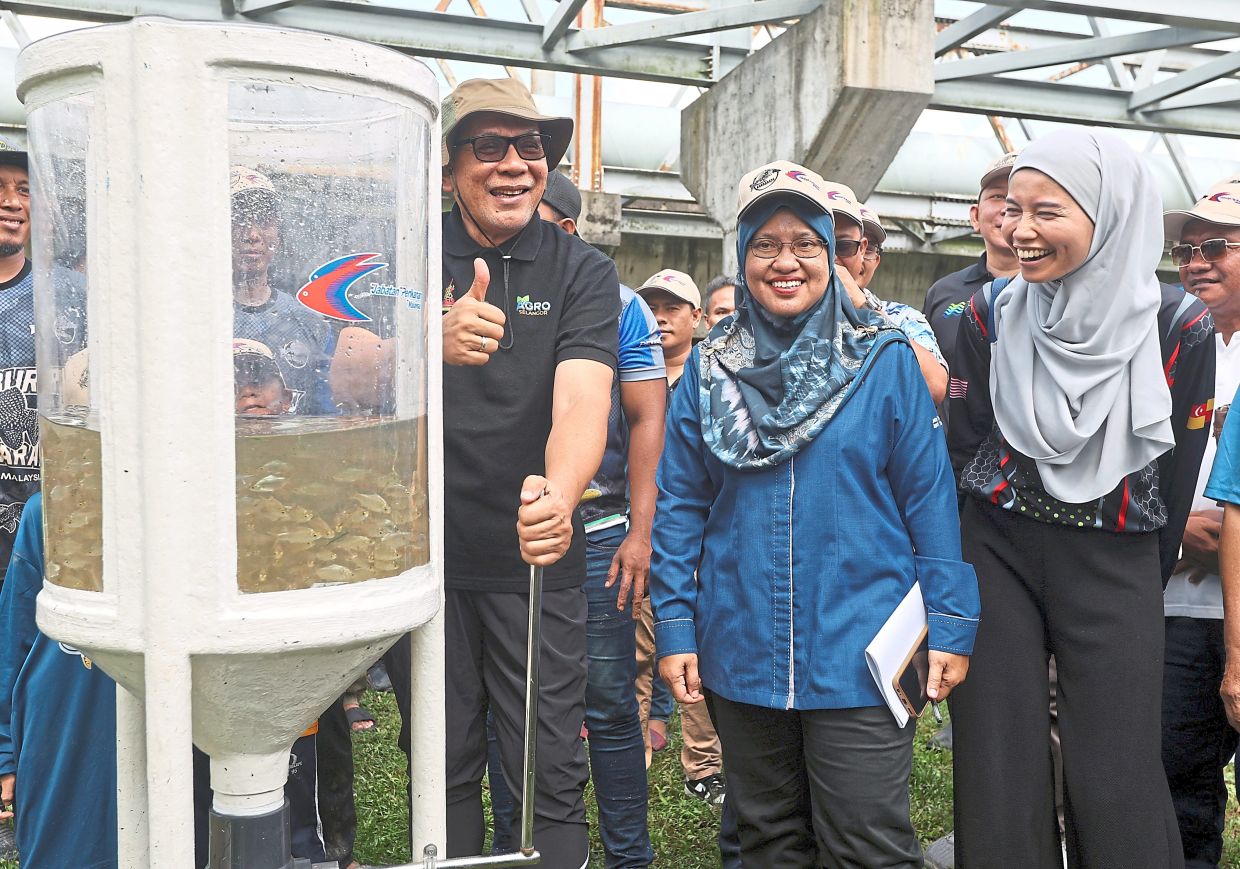 Over a million native fish released to replenish Selangor rivers | The Star