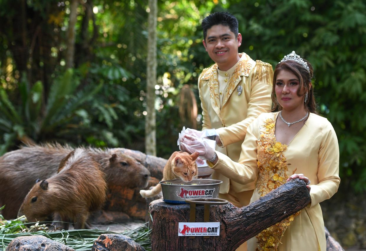 Animal lovers tie the knot in Zoo Negara | The Star