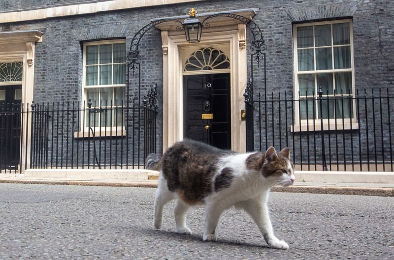 Larry the cat training yet another PM in Downing Street | The Star