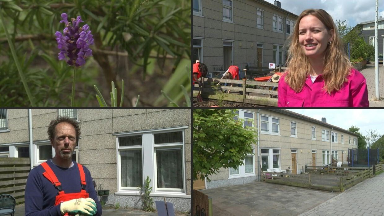 'Tile-flipping' contest encourages Dutch to help cities adapt to ...