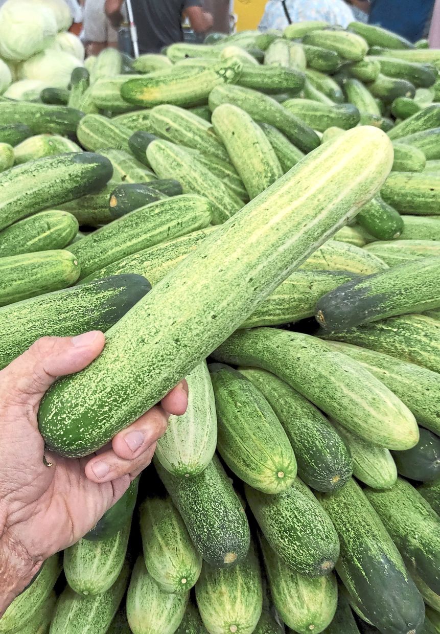 A play on food | The Star