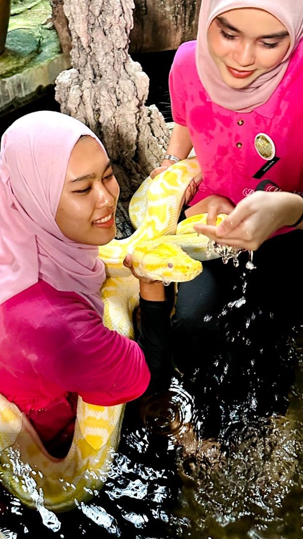 Heatwave hazard: Dedicated care needed to keep captive animals cool | The Star