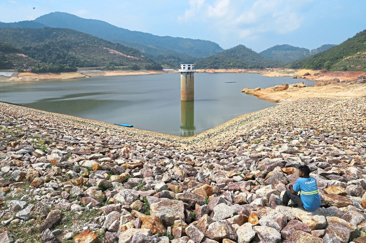 Dam-per on Dragon Boat fest | The Star