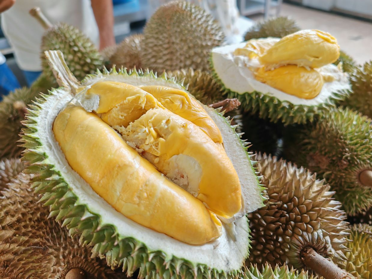 QuickCheck: Does eating durian increase your cholesterol levels? | The Star