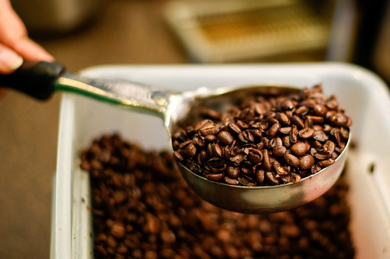 Vietnam coffee producer gets US$25mil loan from ESG fund | The Star