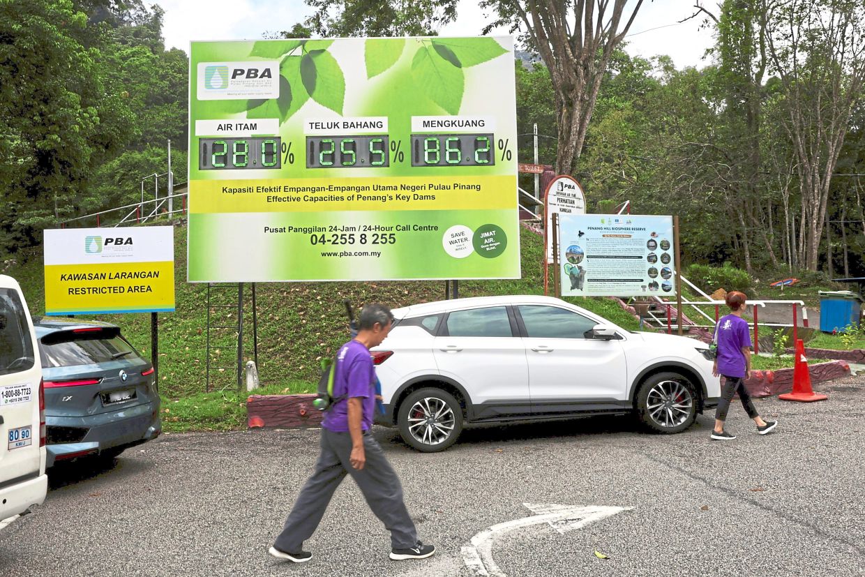 Perlis padi farmers feel the heat | The Star