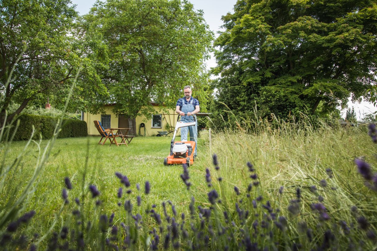 Sow happy: Six tips for gardening without back pain | The Star