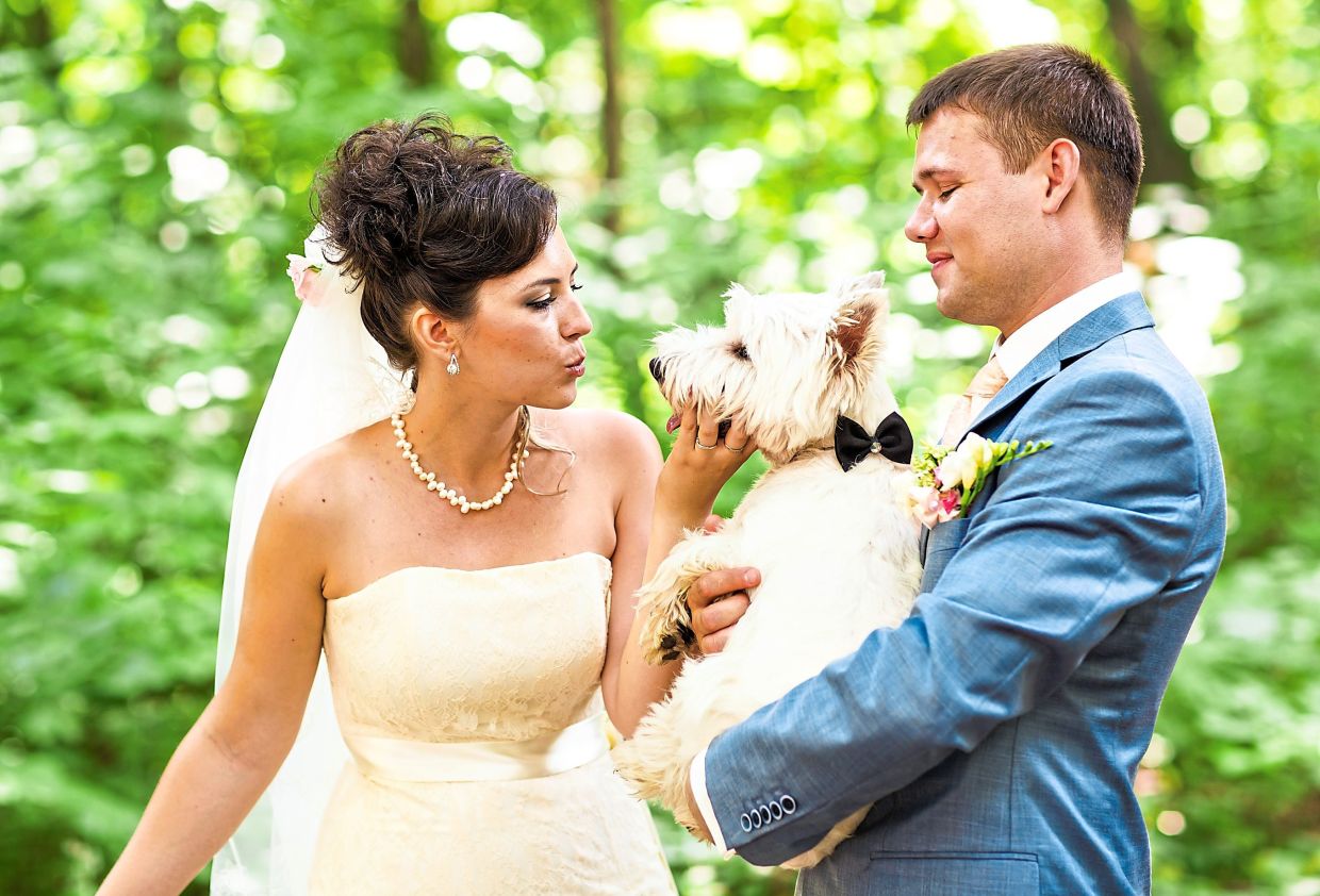 Tips on having your dog in your bridal party | The Star