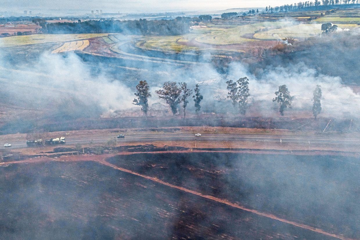 Massive fires hurt sugar production in Brazil | The Star