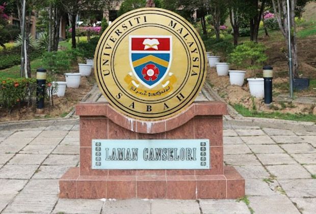 Free education material available online in UMS platform | The Star