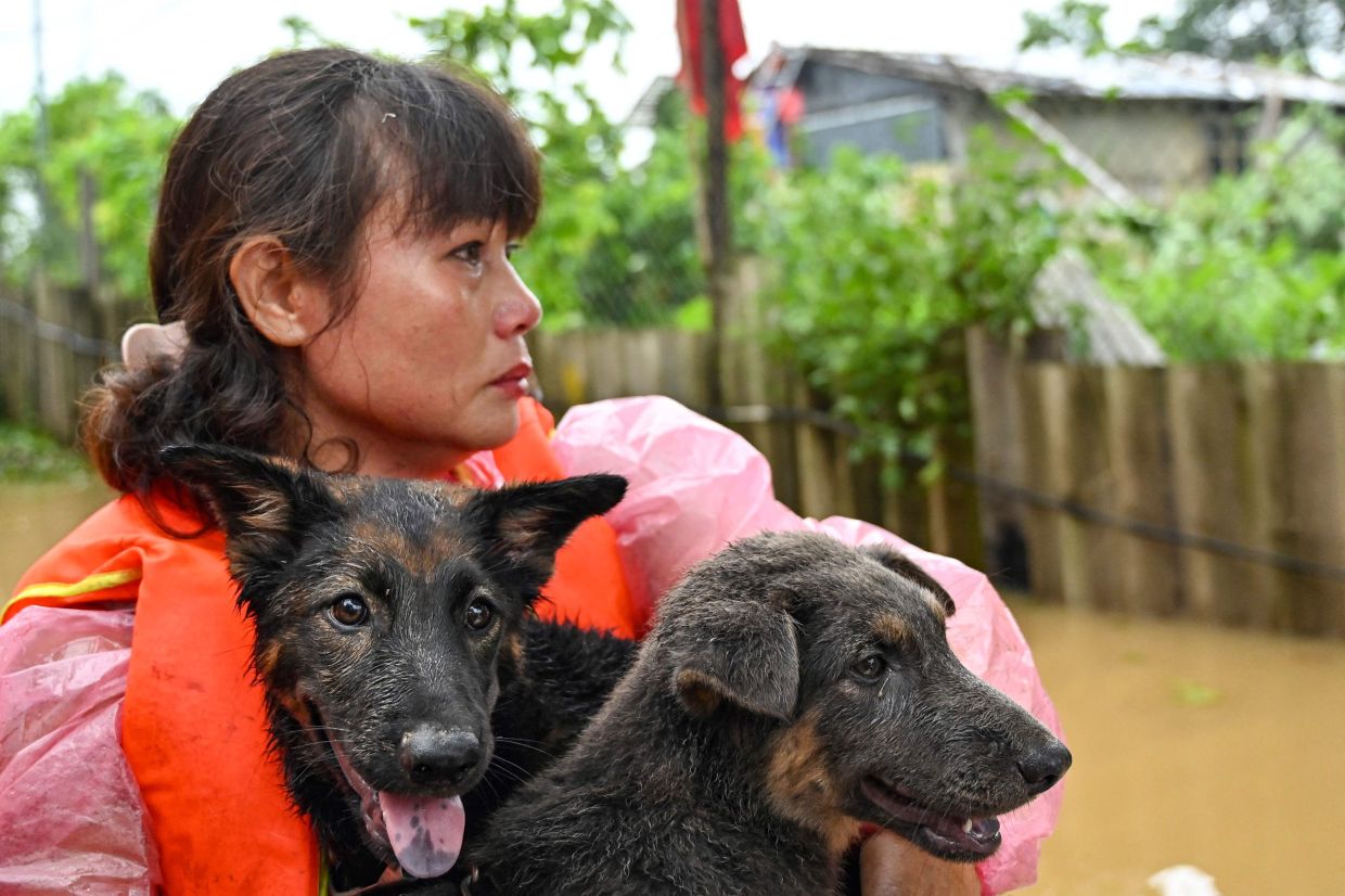Vietnam typhoon victims plead for help as death toll climbs to 82 ...