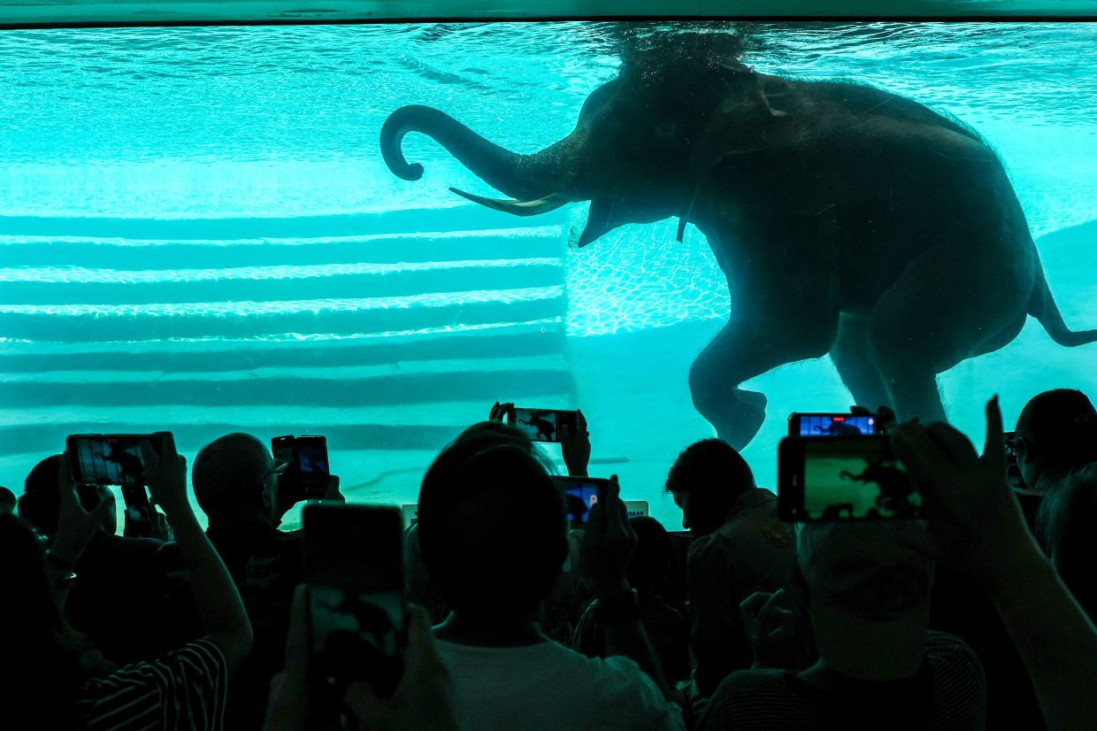 Asean News Headlines at 10pm on Monday (Sept 16, 2024) | The Star