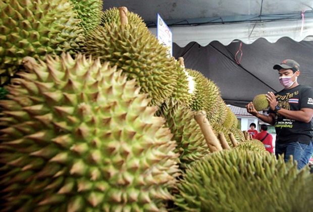 Musang King durians face flavour controversy | The Star