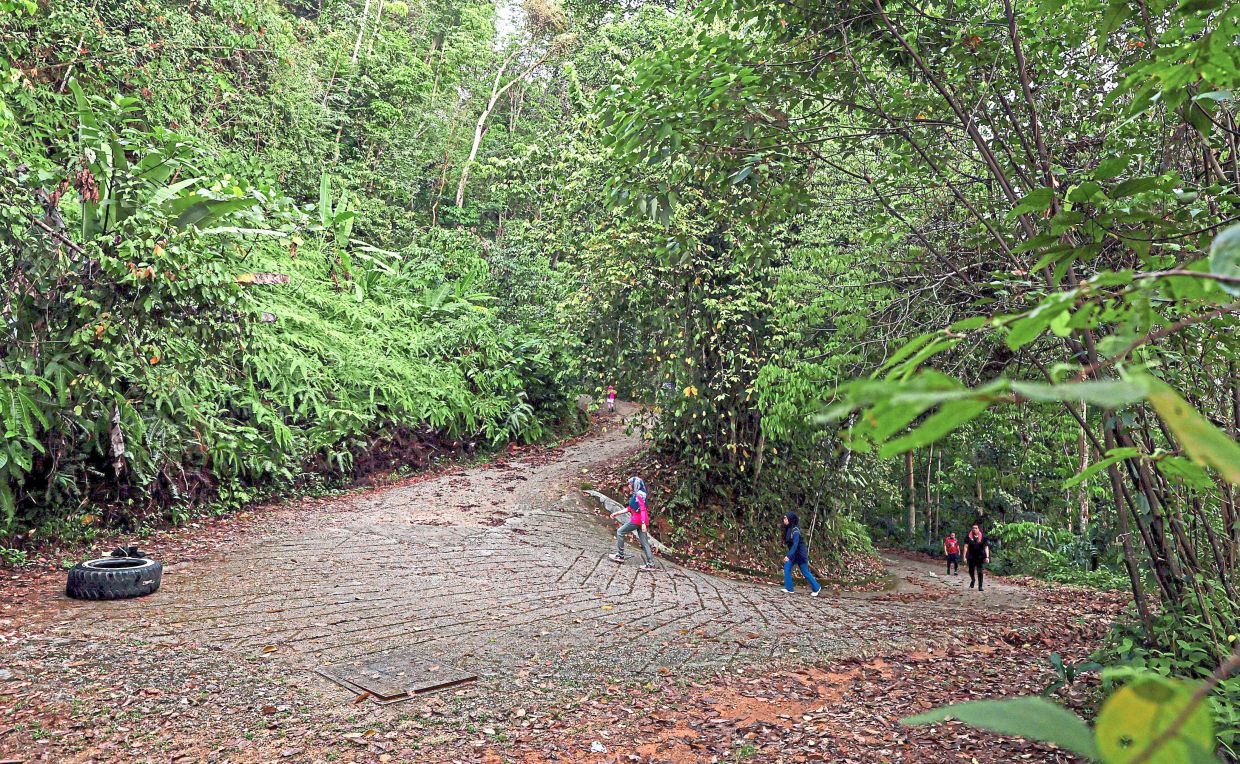 Bukit Dinding a good bet for extreme sports | The Star