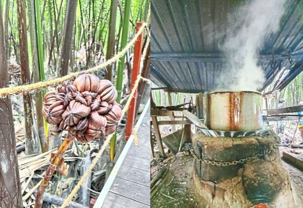 Sweet success as ex-chef’s gula apong goes global | The Star