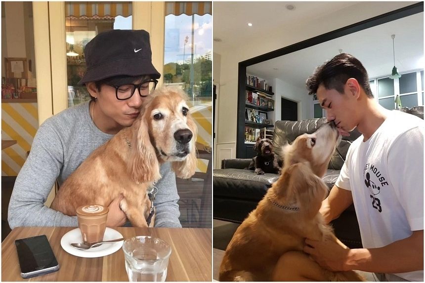 ‘The hardest goodbye’: Singaporean actor Desmond Tan mourns death of ...