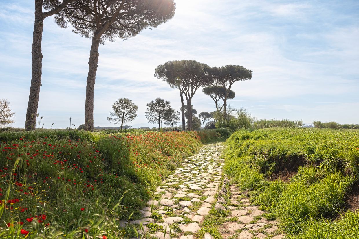 Heritage hopes hit a roadblock | The Star