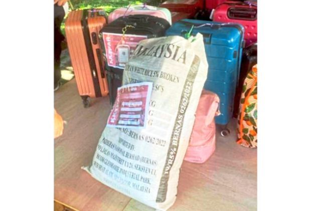 The humble gunny sack goes viral | The Star