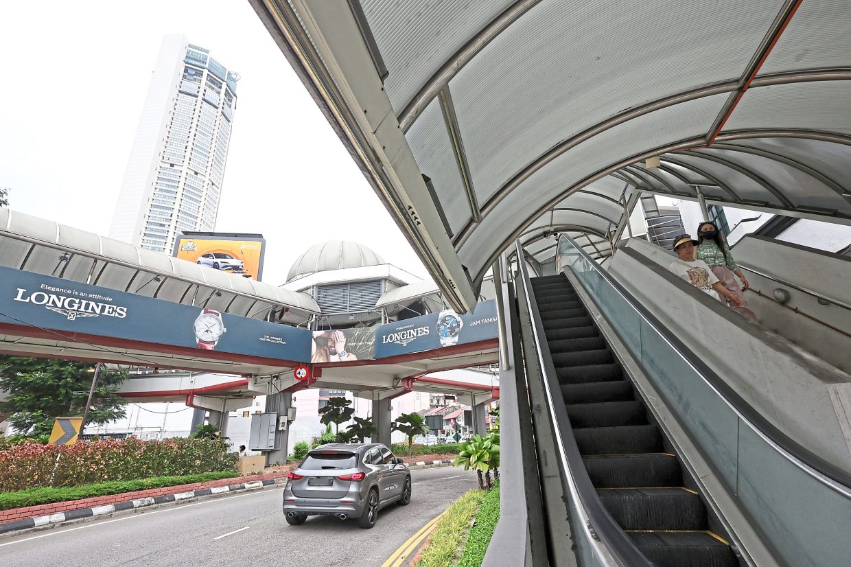 Octopus bridge needs another helping hand | The Star