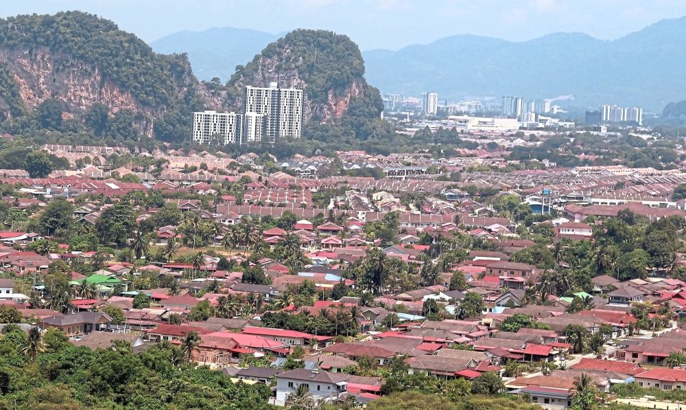 Monkeys, flash floods plague Ipoh suburb | The Star